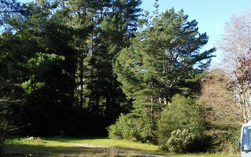 Dunham Point Reserve | Freedom/Basic Camp | New Zealand